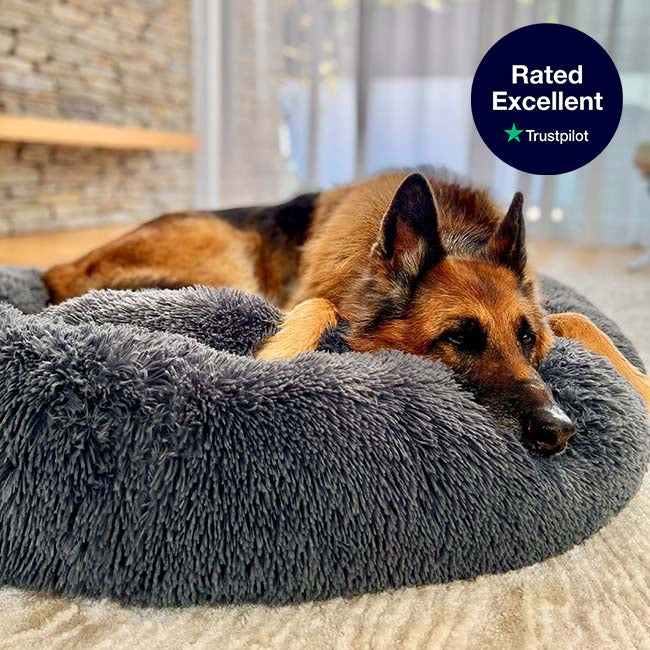 Brooklyn® Deep Sleep Pet Bed | The Nation's Favourite Pet Bed | The ...