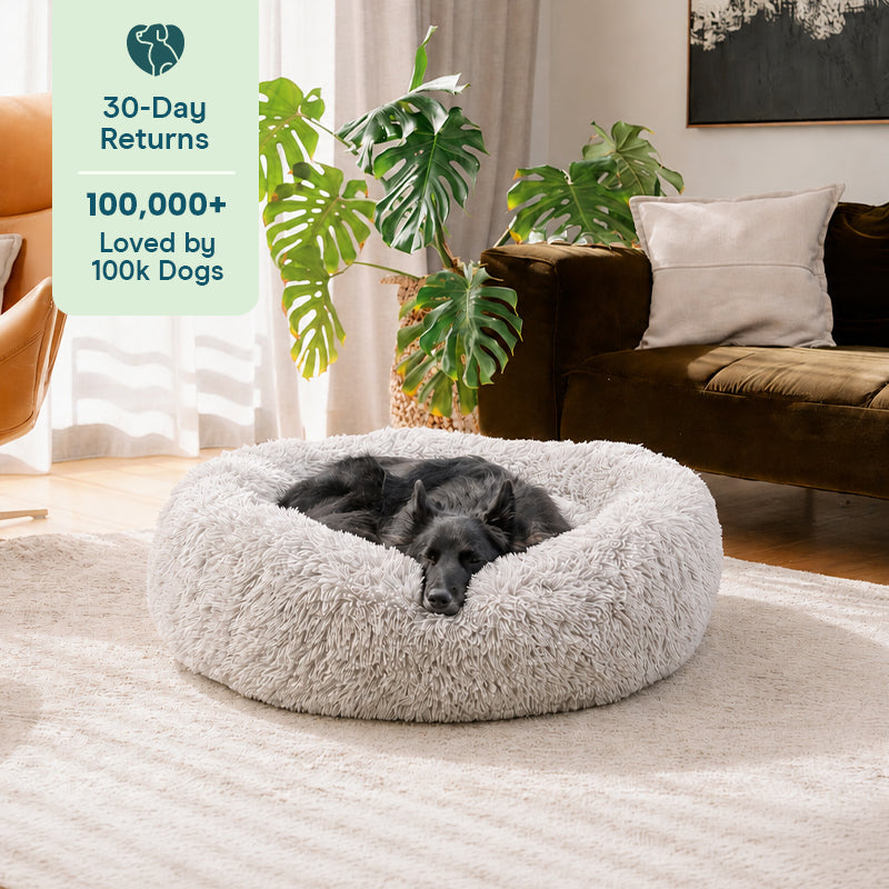 Canada's Favourite Dog Bed – The Brooklyn Pet Store
